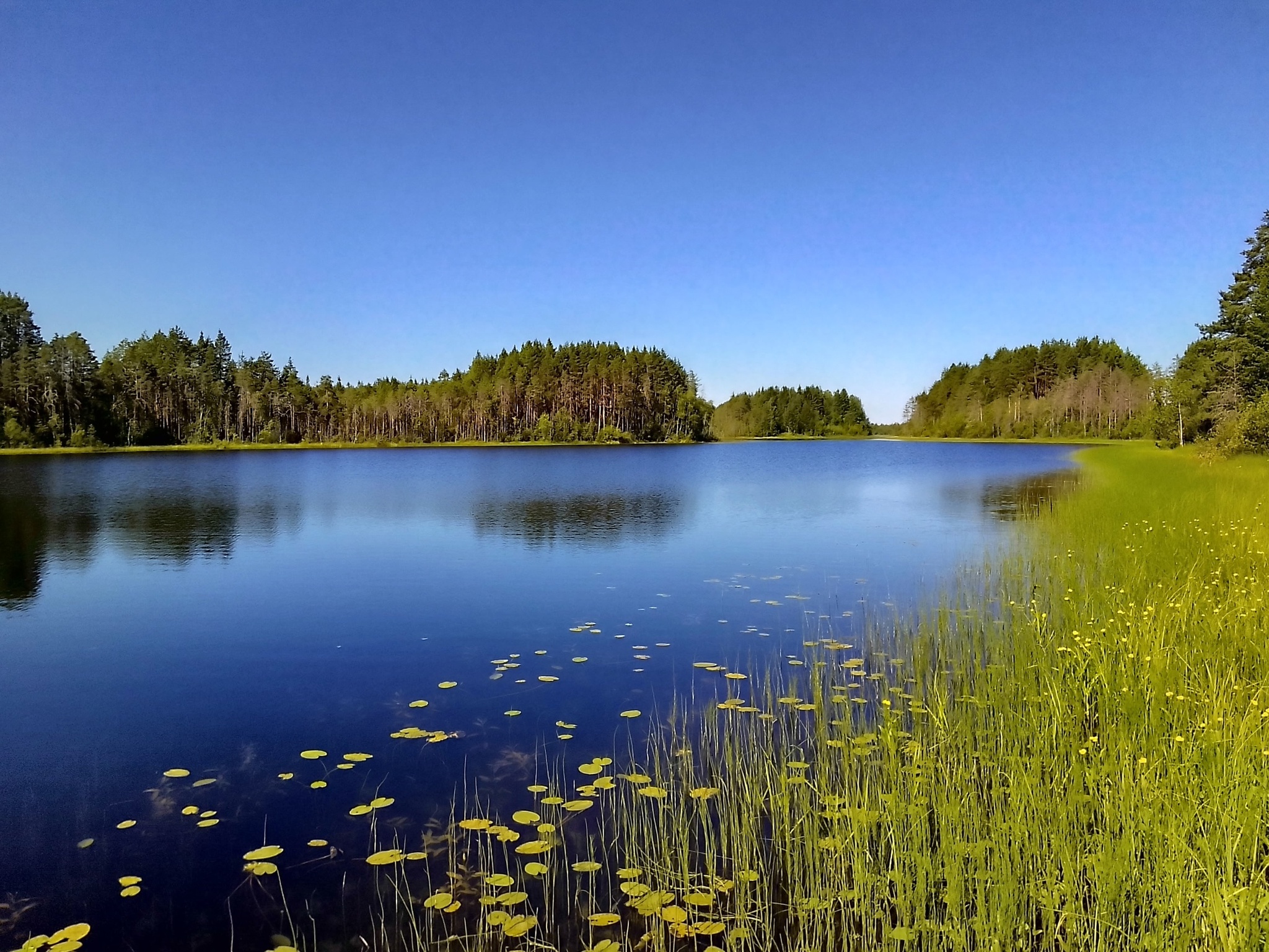 Тихая водная гладь | Пикабу