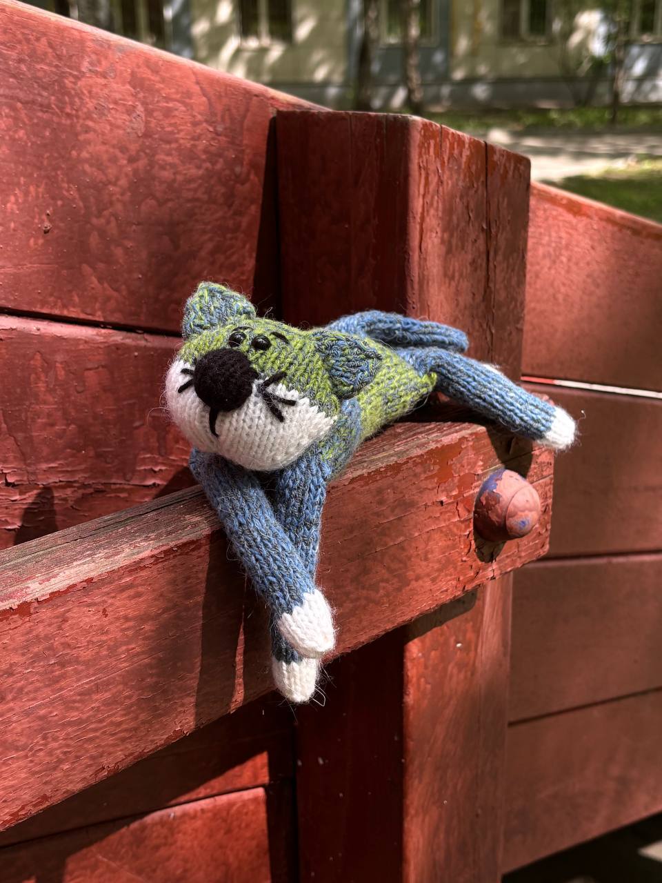 И снова котики... - 03.10.25 11:31 | Пикабу