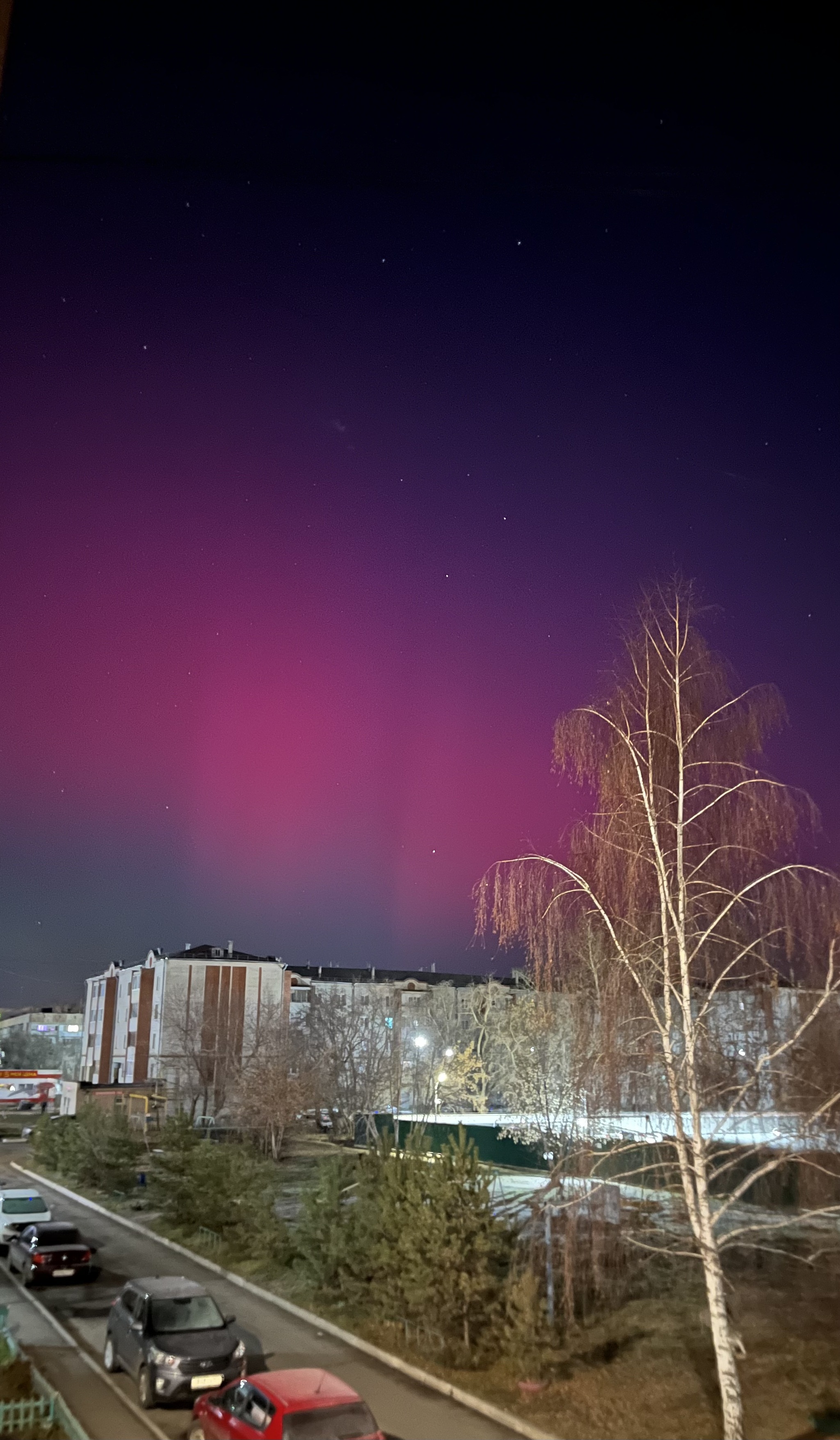 12 ноября 2025 - 12.11.25 13:16 | Пикабу