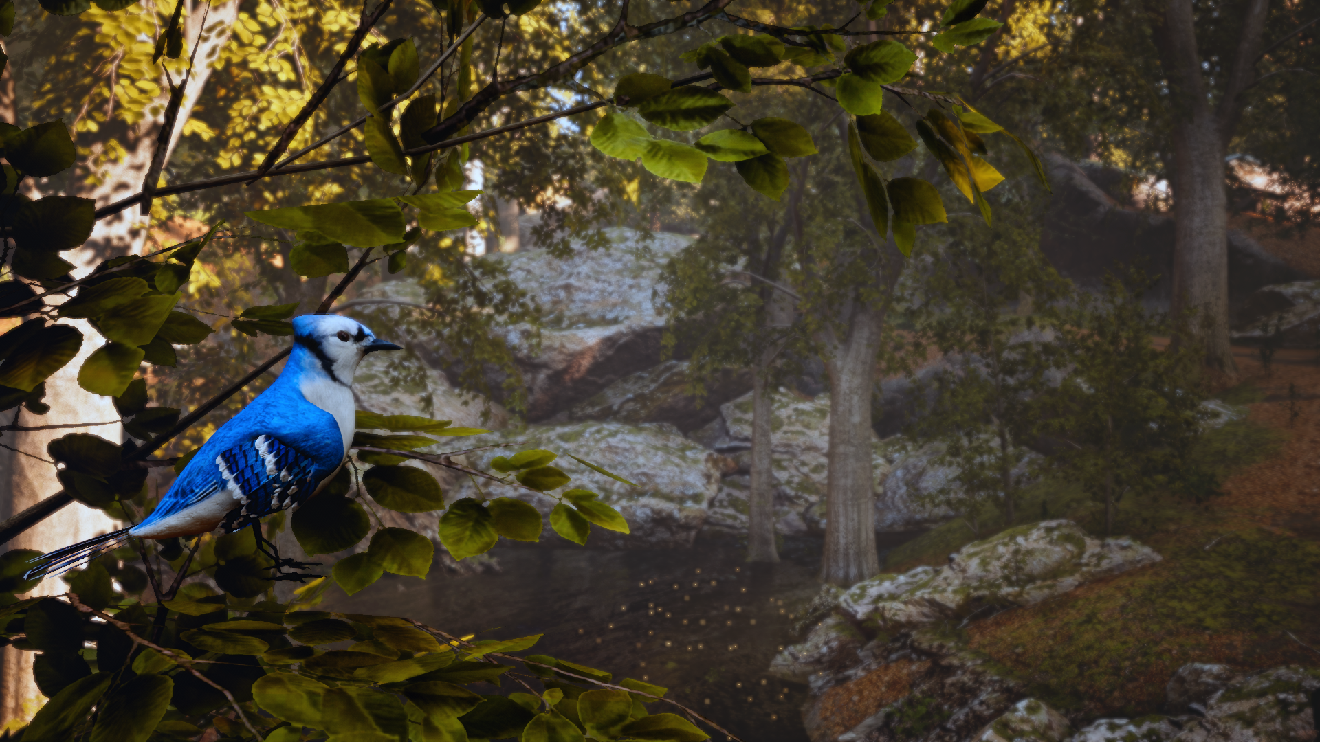 Morels: The Hunt - 21.06.26 07:05 | Пикабу
